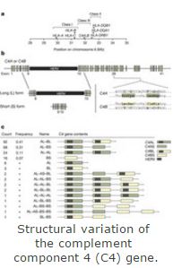 RESEARCH WEEKLY: Putting the News about Schizophrenia into Context ...